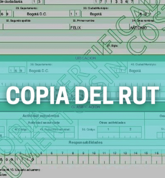 copia del rut Archives ⋆ ® Tramites en Linea